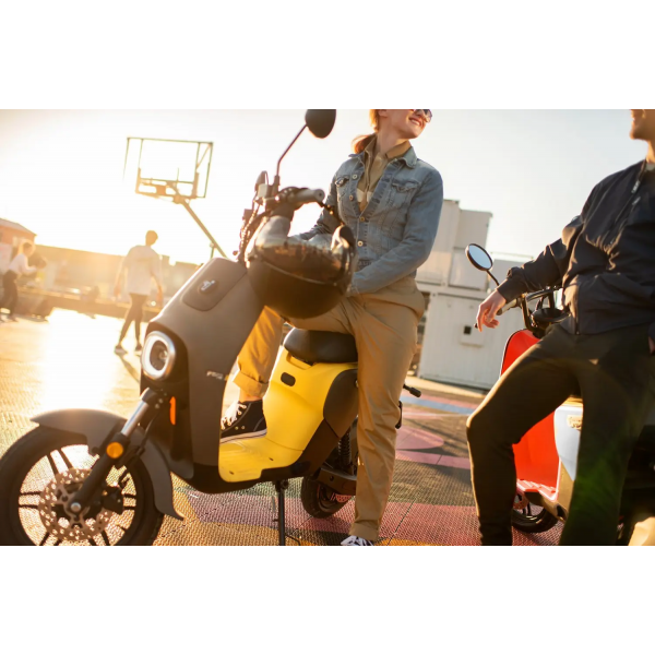 Електроскутер Segway Ninebot B110S Yellow/Dark Grey купити - ціна ...